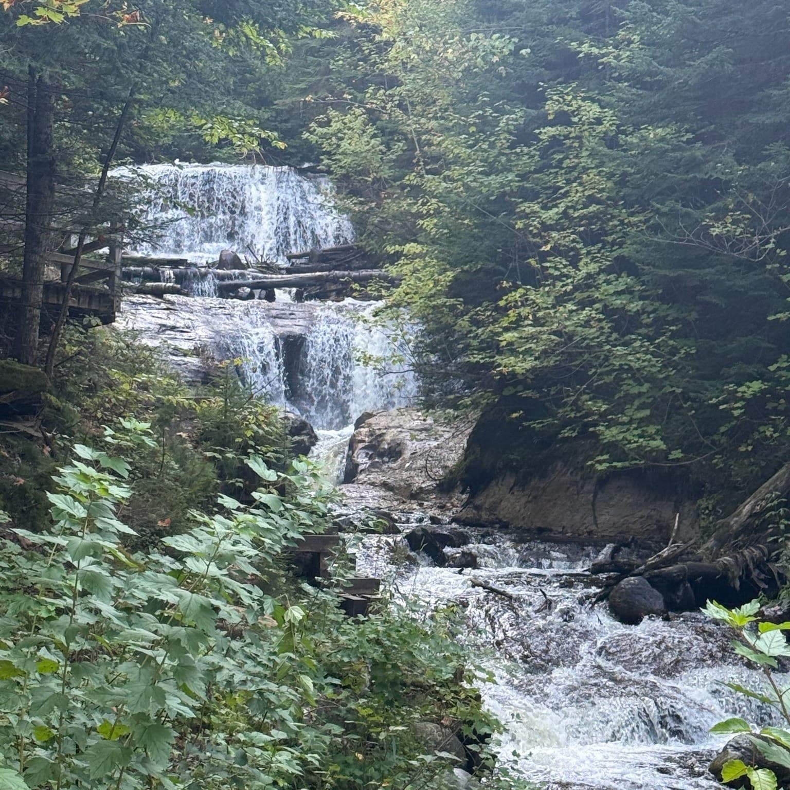 20 Best Waterfalls in Michigan's Upper Peninsula | Complete 2026 Guide